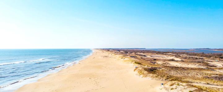 What to Do While Social Distancing in Virginia Beach - Visit Virginia Beach