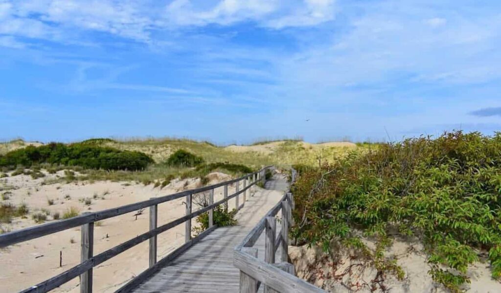 Easy Hiking Trails in Virginia Beach - Visit Virginia Beach