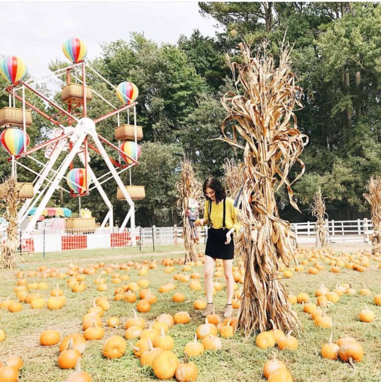 Halloween To-Boo List: Virginia Beach Fun and Frights - Visit Virginia ...