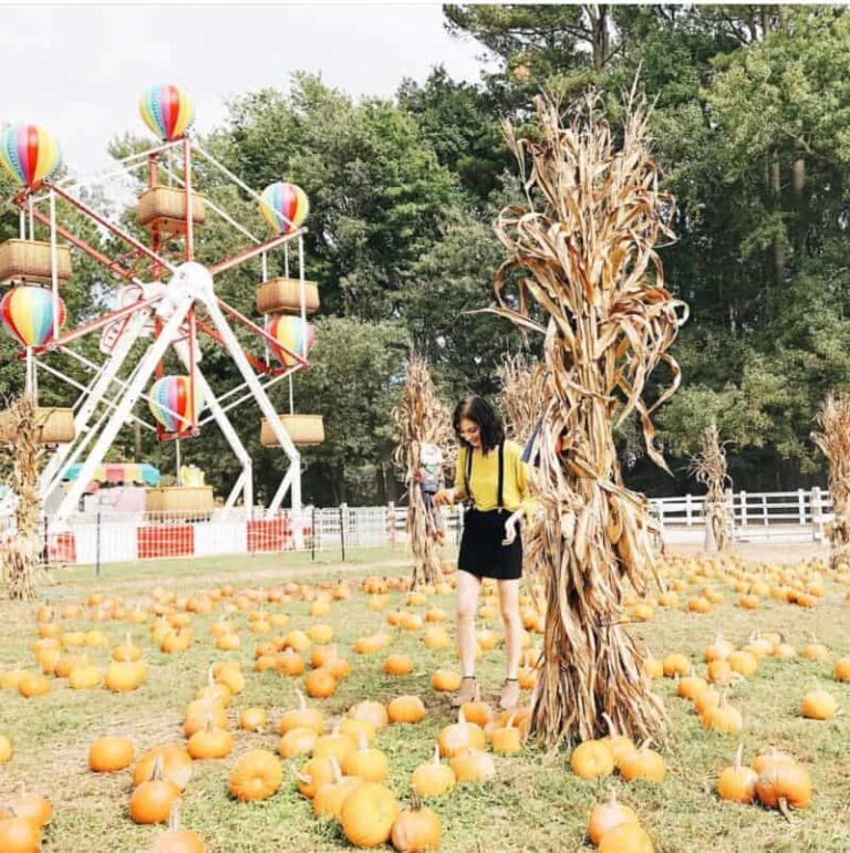 Fall in Virginia Beach and Norfolk: TheBest Autumn Activities - Visit ...